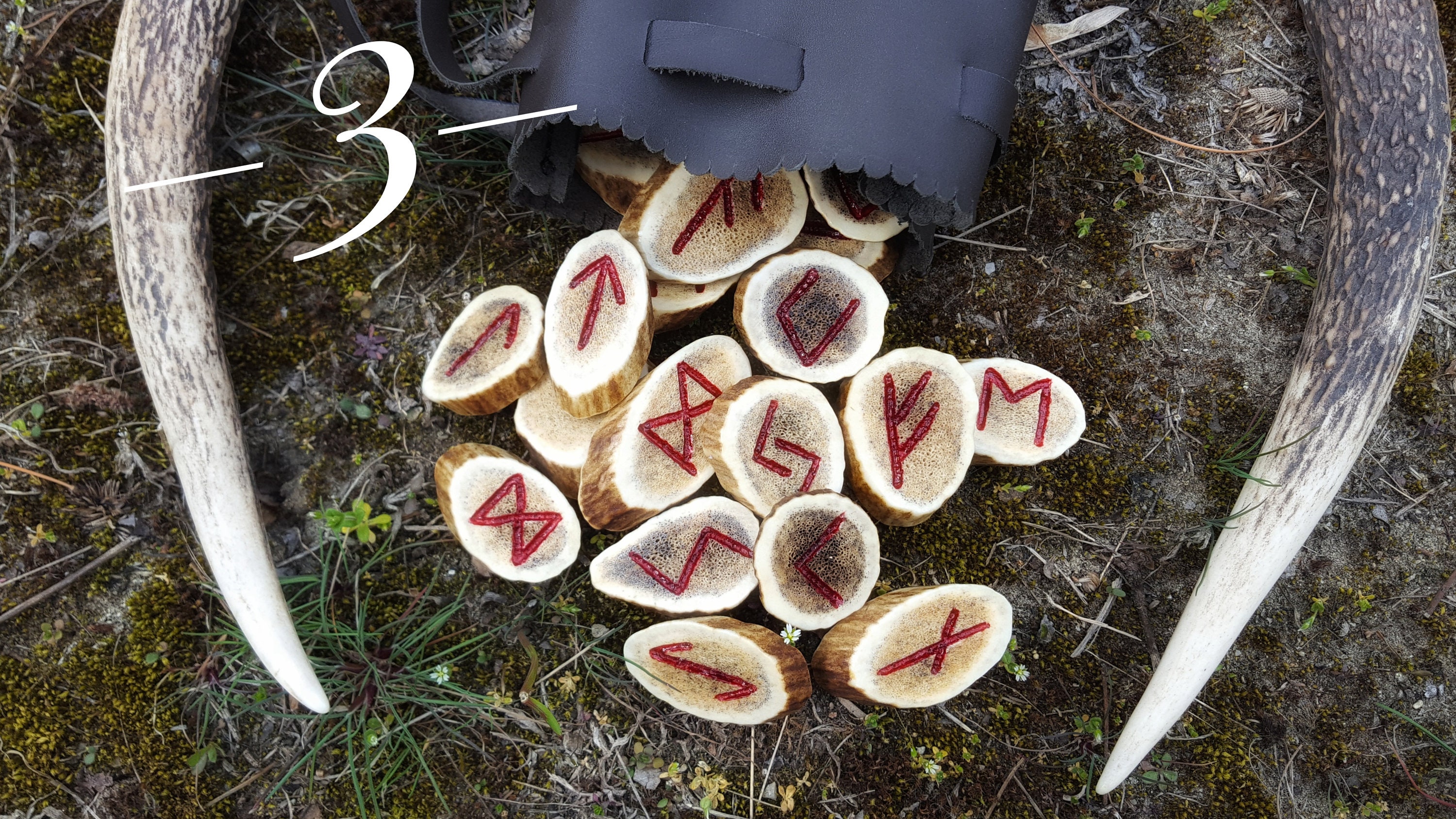 Pagan Viking Runes Elder Futhark Real Red Deer Antler Slice Rune Set ...