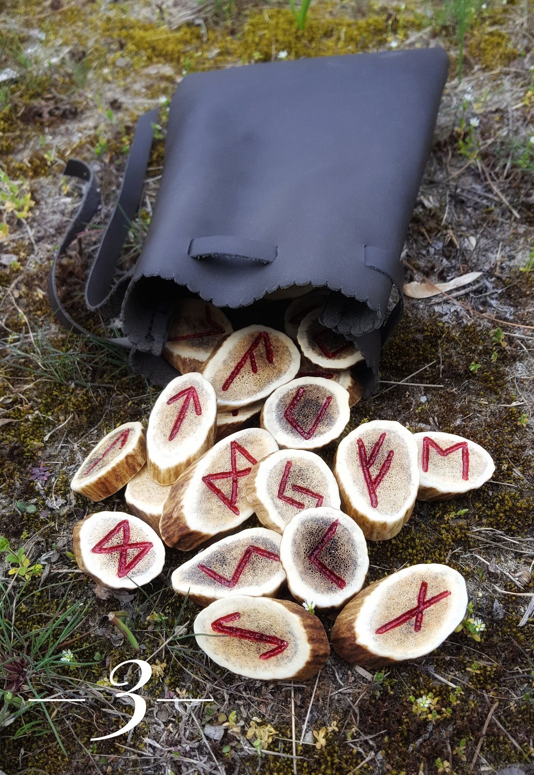 Pagan Viking Runes Elder Futhark Real Red Deer Antler Slice Rune Set ...