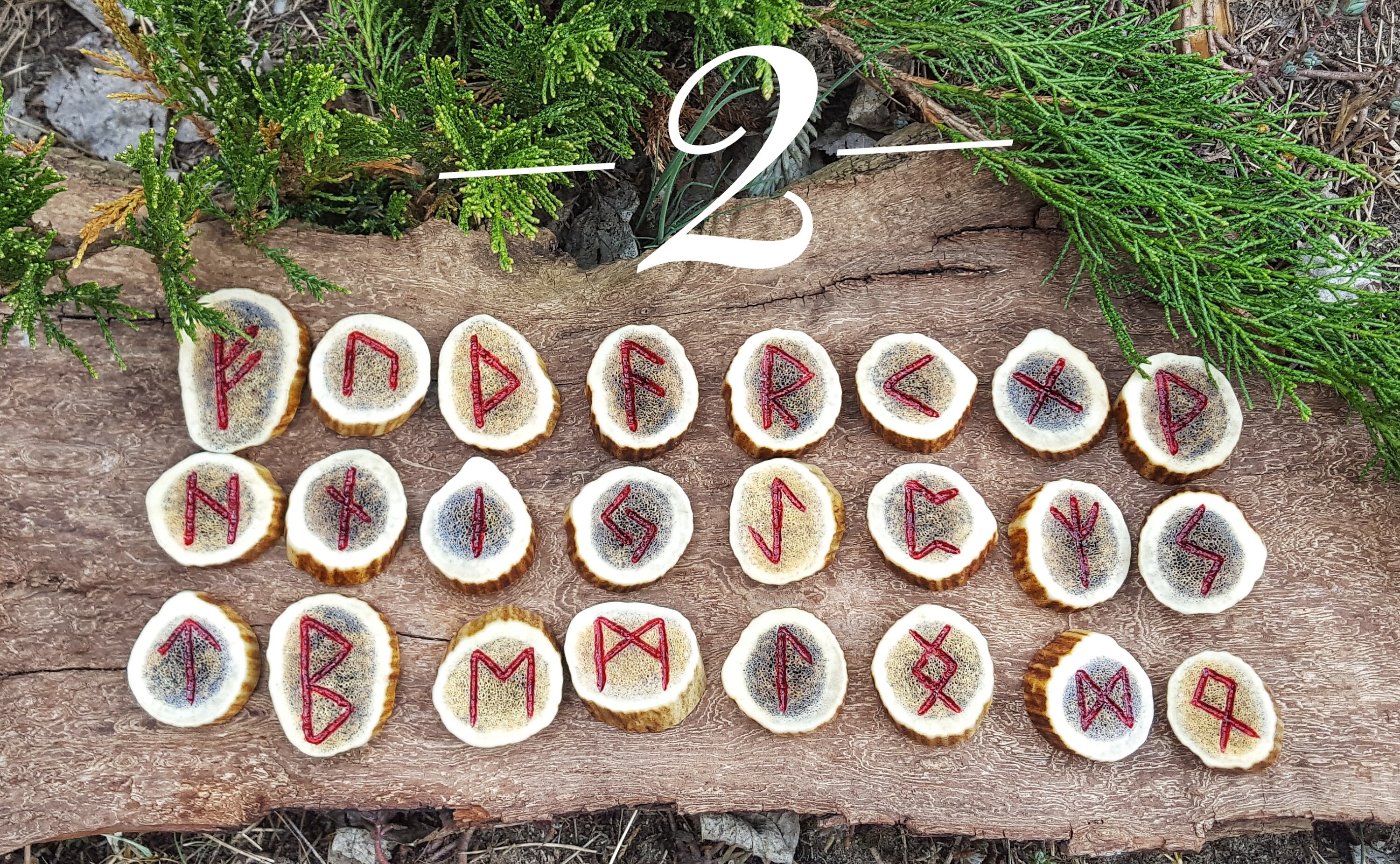 Pagan Viking Runes Elder Futhark Real Red Deer Antler Slice Rune Set ...