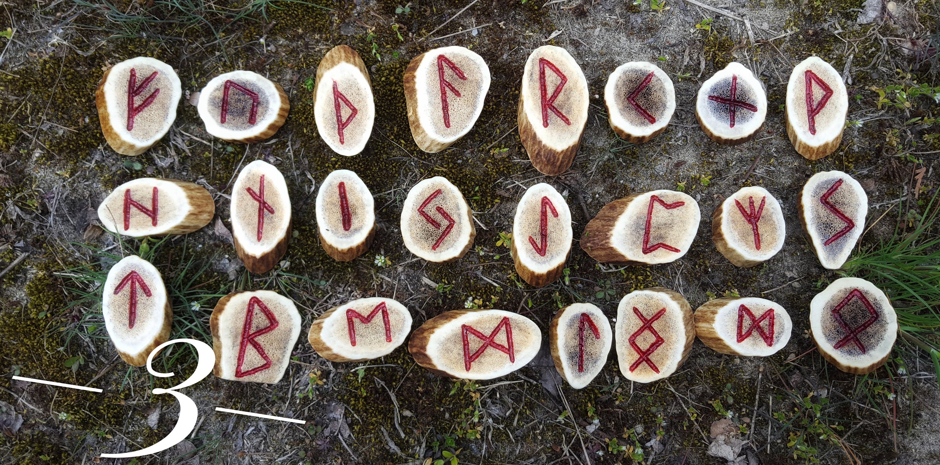 Pagan Viking Runes Elder Futhark Real Red Deer Antler Slice Rune Set ...