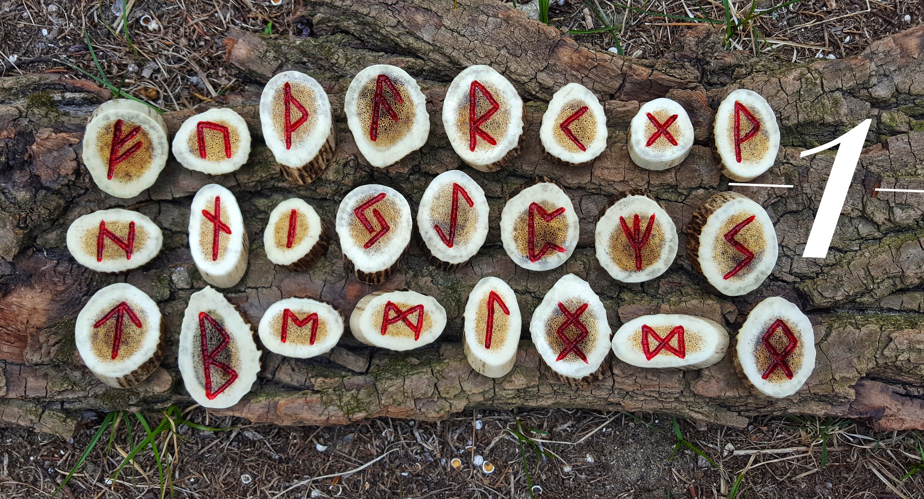 Pagan Viking Runes Elder Futhark Real Red Deer Antler Slice Rune Set ...