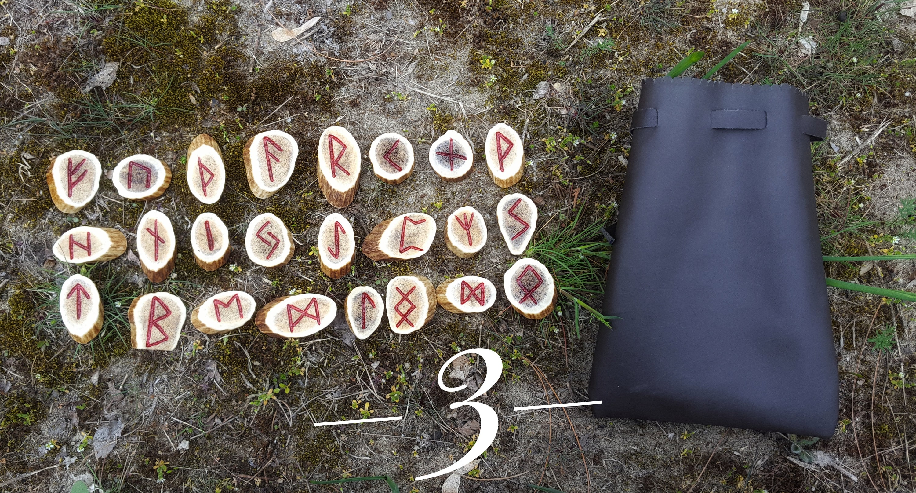 Pagan Viking Runes Elder Futhark Real Red Deer Antler Slice Rune Set ...