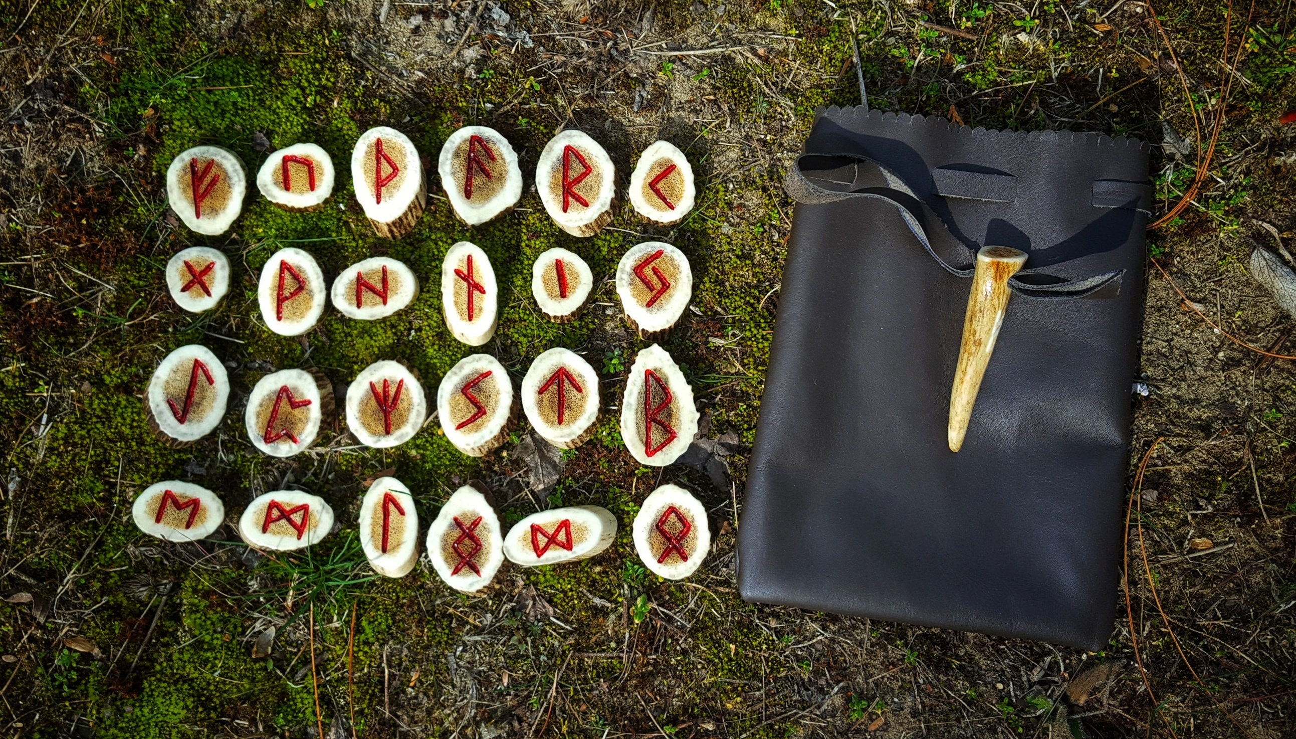 Pagan Viking Runes Elder Futhark Real Red Deer Antler Slice Rune Set ...