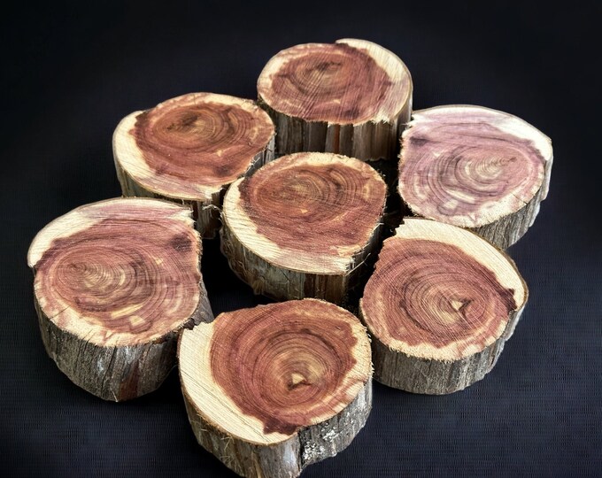 Live Edge Cedar Wood Cookies - Etsy