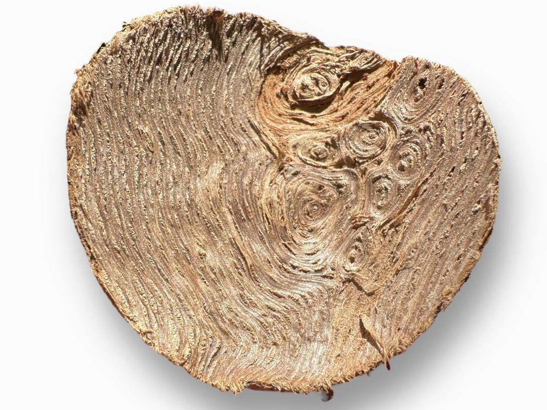 Spaghetti Oak Concave Wood Pendant for Jewelry Epoxy Resin Casting - Etsy