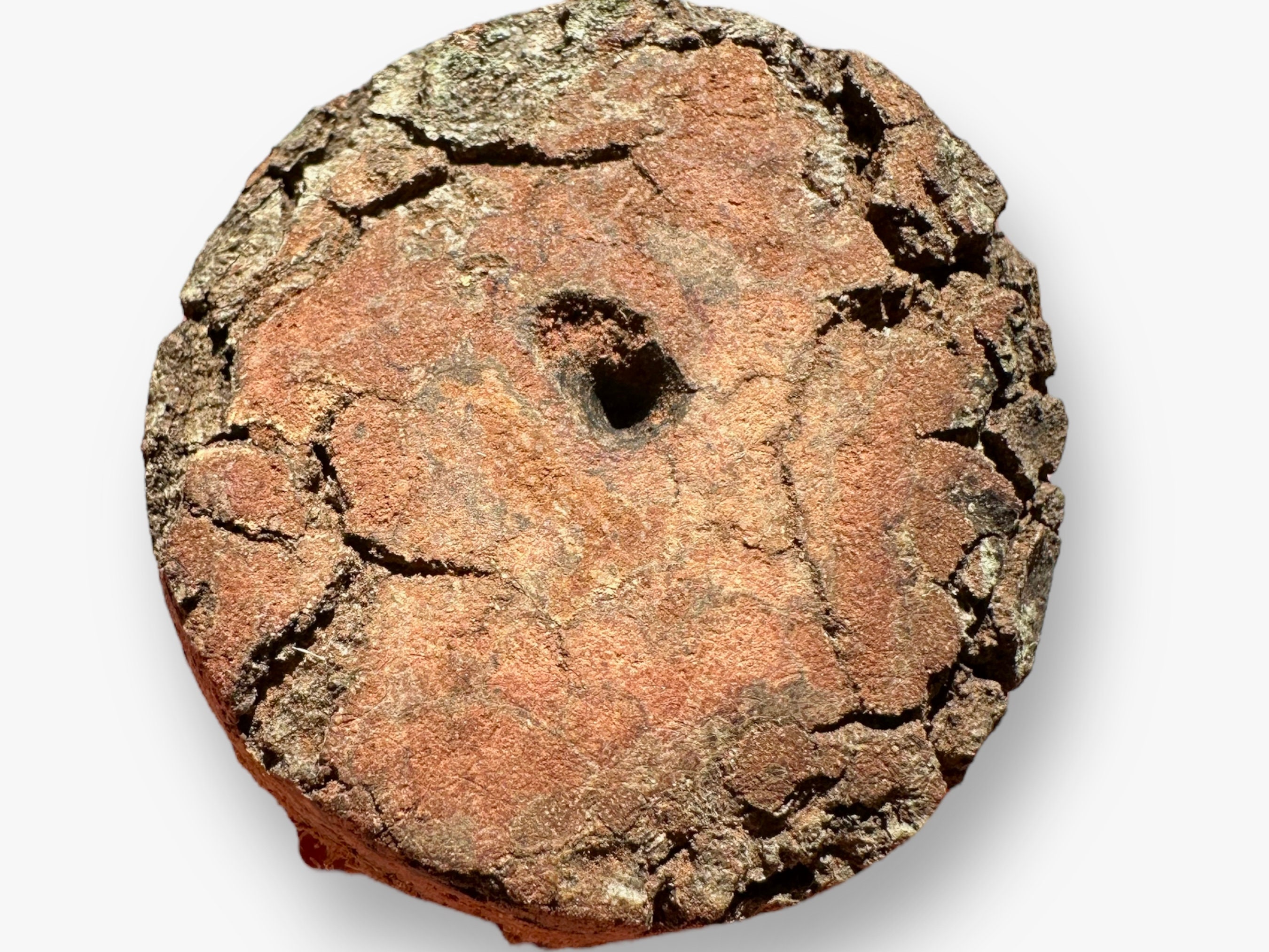 Spaghetti Oak Concave Wood Pendant for Jewelry Epoxy Resin Casting - Etsy