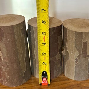 Mini Logs 3 Piece Set Sycamore Logs - Etsy