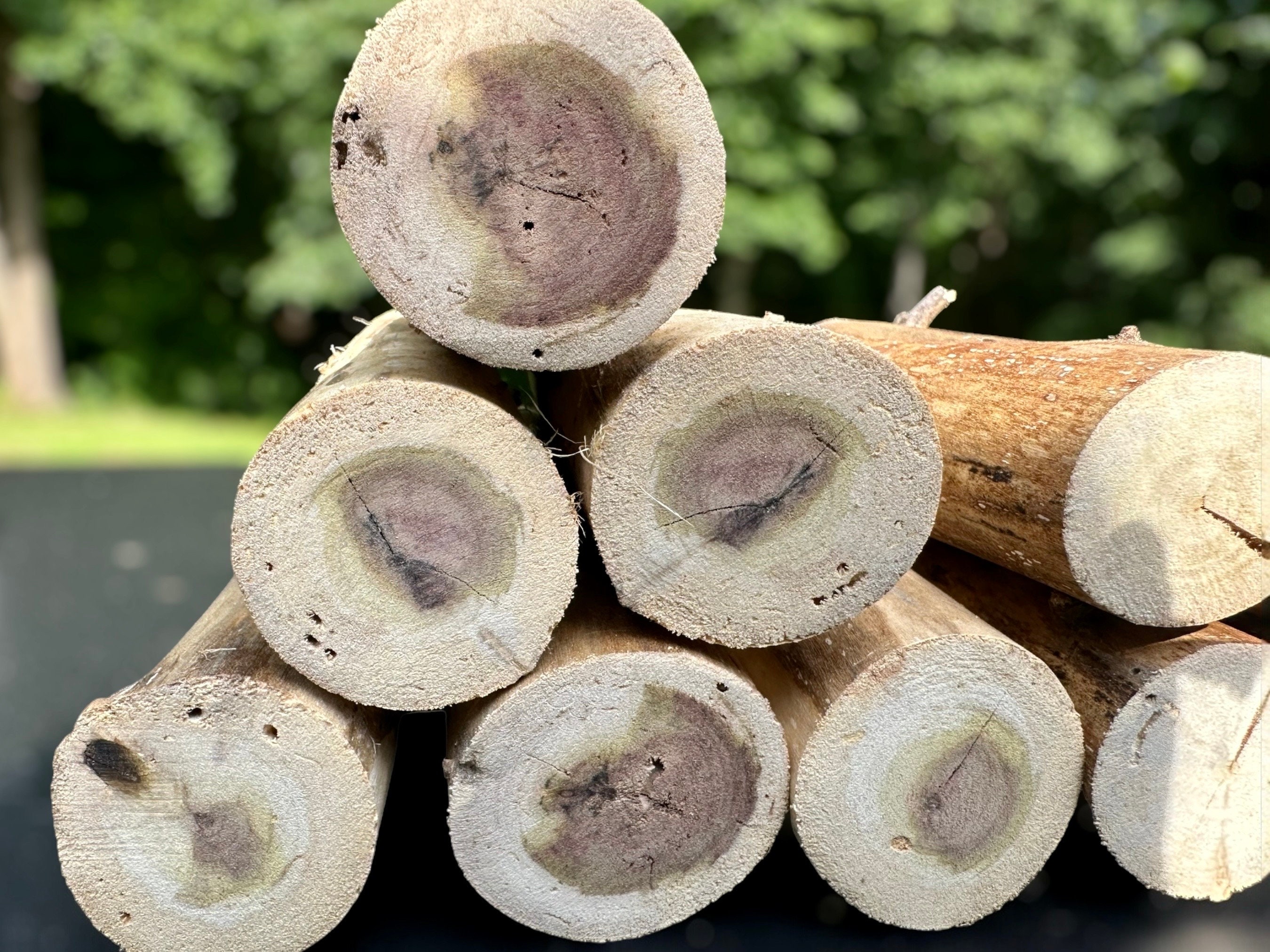 Tulip Poplar Craft Logs: Woodworking Branch Pieces (11”x 2”) - Etsy
