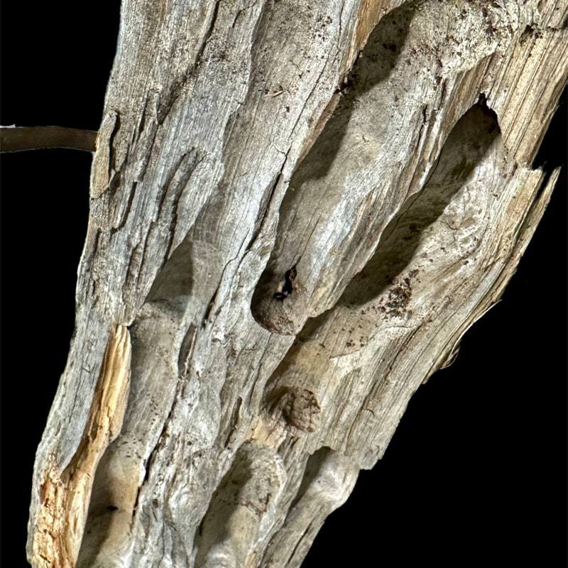 Barn Beam Sign - Etsy