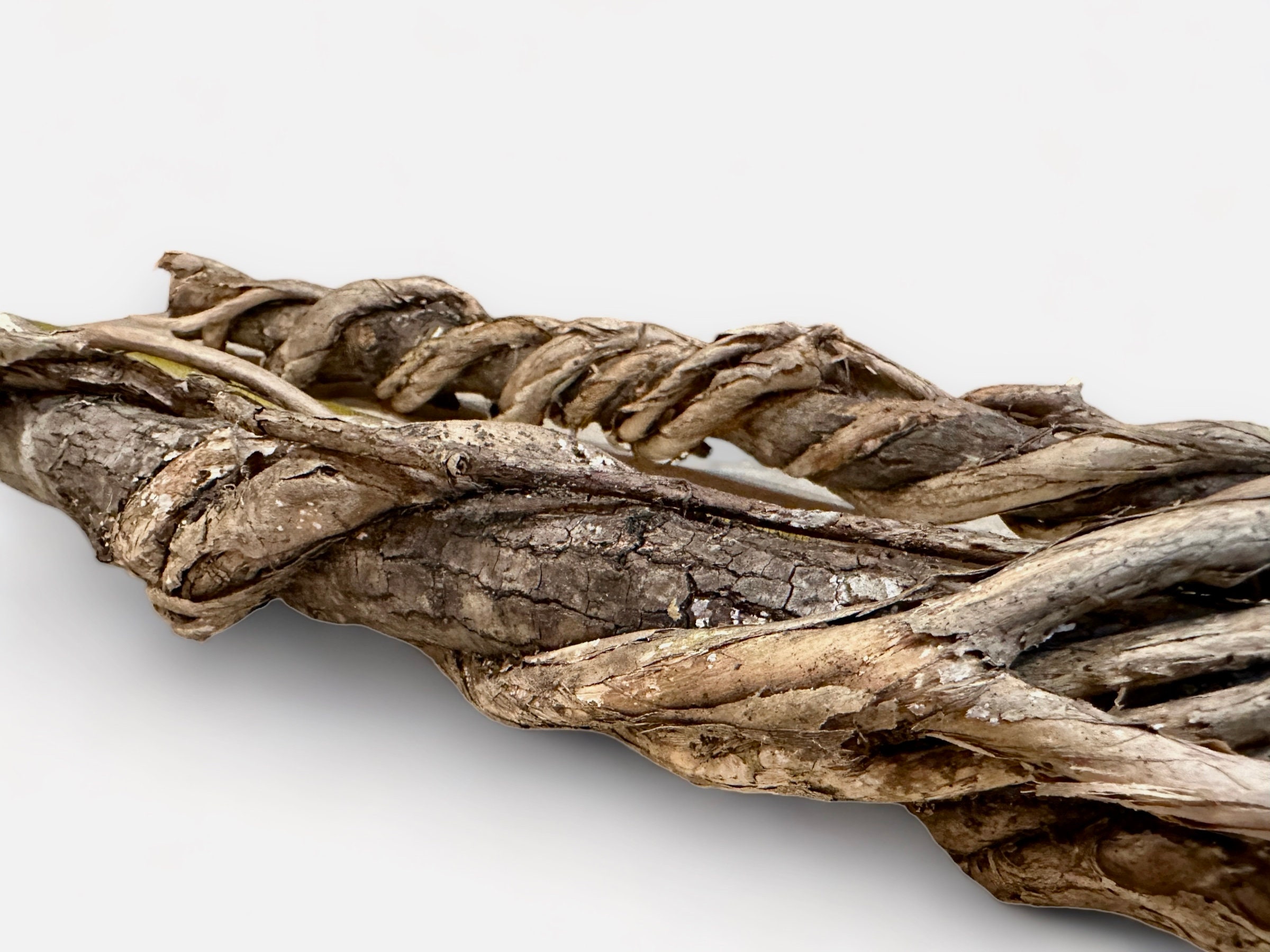 Vine Twisted Braided Branches - Etsy