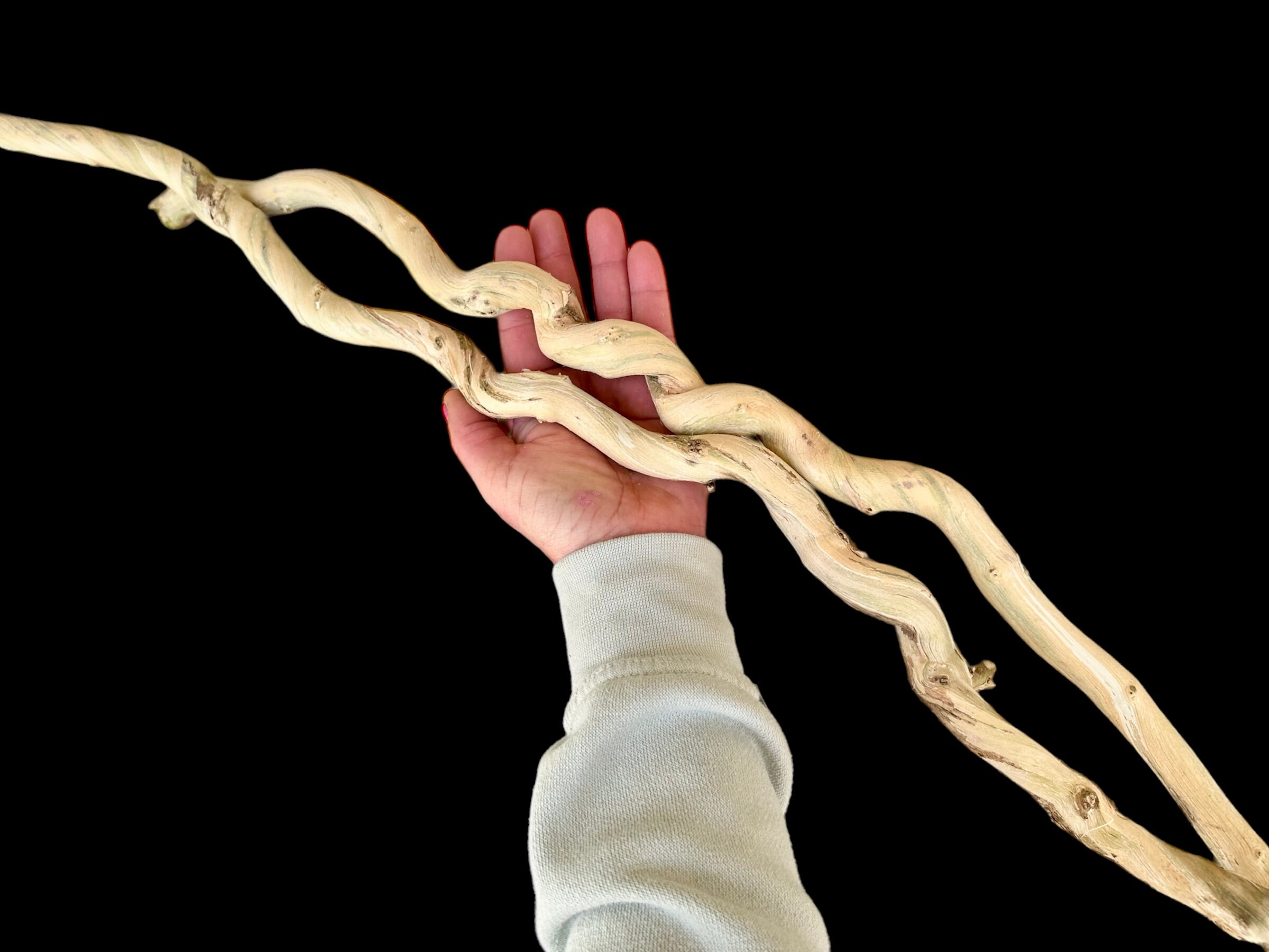 Twisted Honeysuckle Vines - Etsy