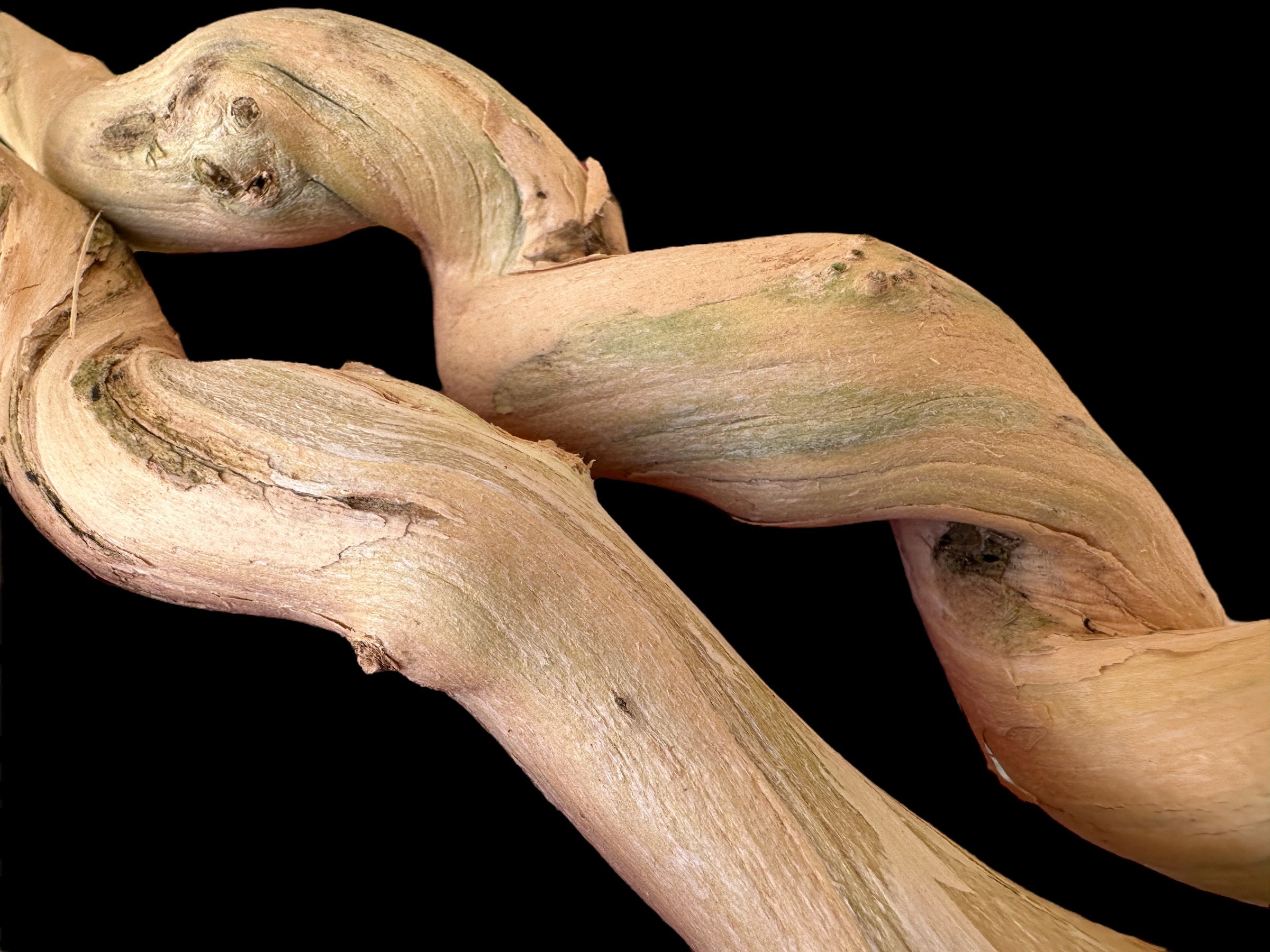 Twisted Honeysuckle Vines - Etsy