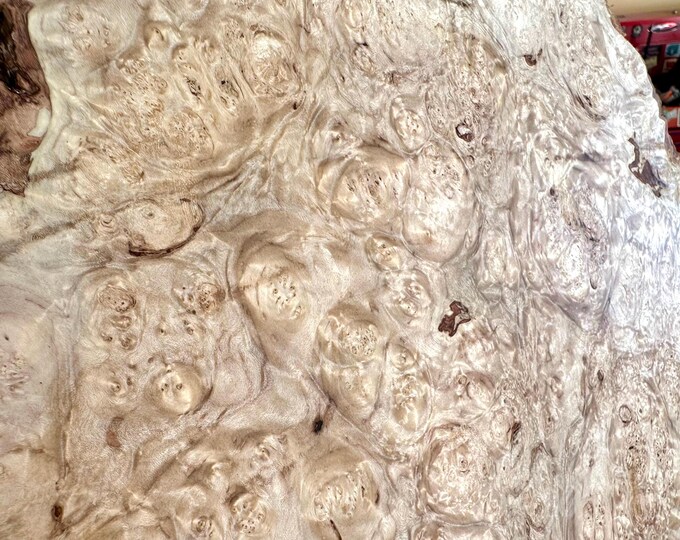 Large Maple Burl Slab Quilted and Birdseye Figure - Etsy
