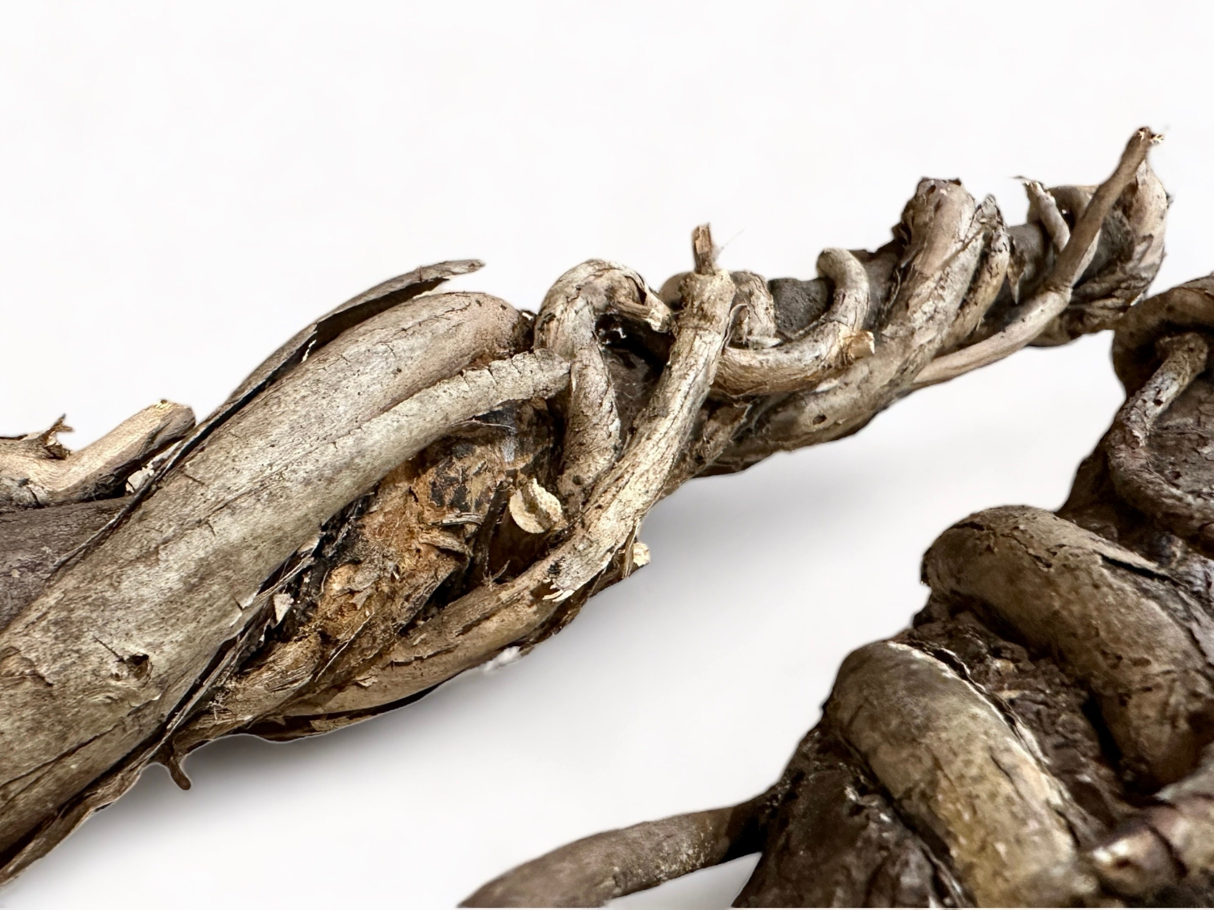 Vine Twisted Braided Branches - Etsy