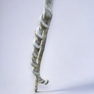 Twisted Stick. Walking Stick. Reptile Climbing Branch. Beech Branch - Etsy