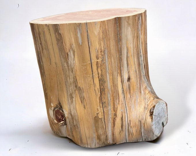 Cedar Stump Log 10 Inch - Etsy