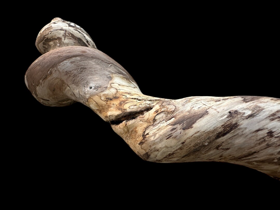 Vine Twisted Curved Tree Branch - Etsy