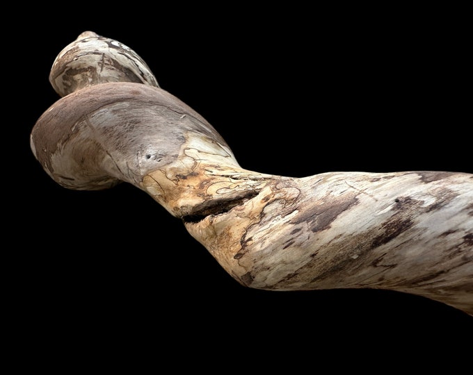Vine Twisted Curved Tree Branch - Etsy