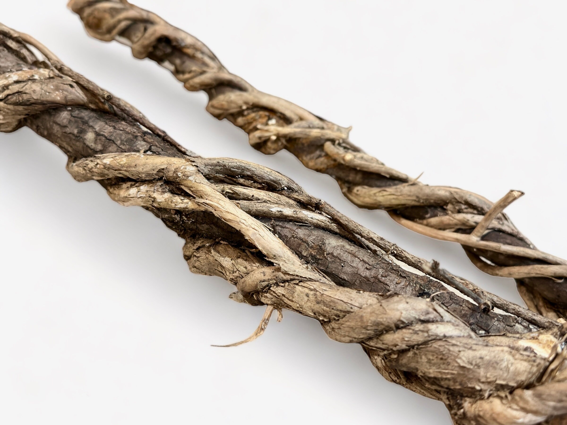 Vine Twisted Braided Branches - Etsy