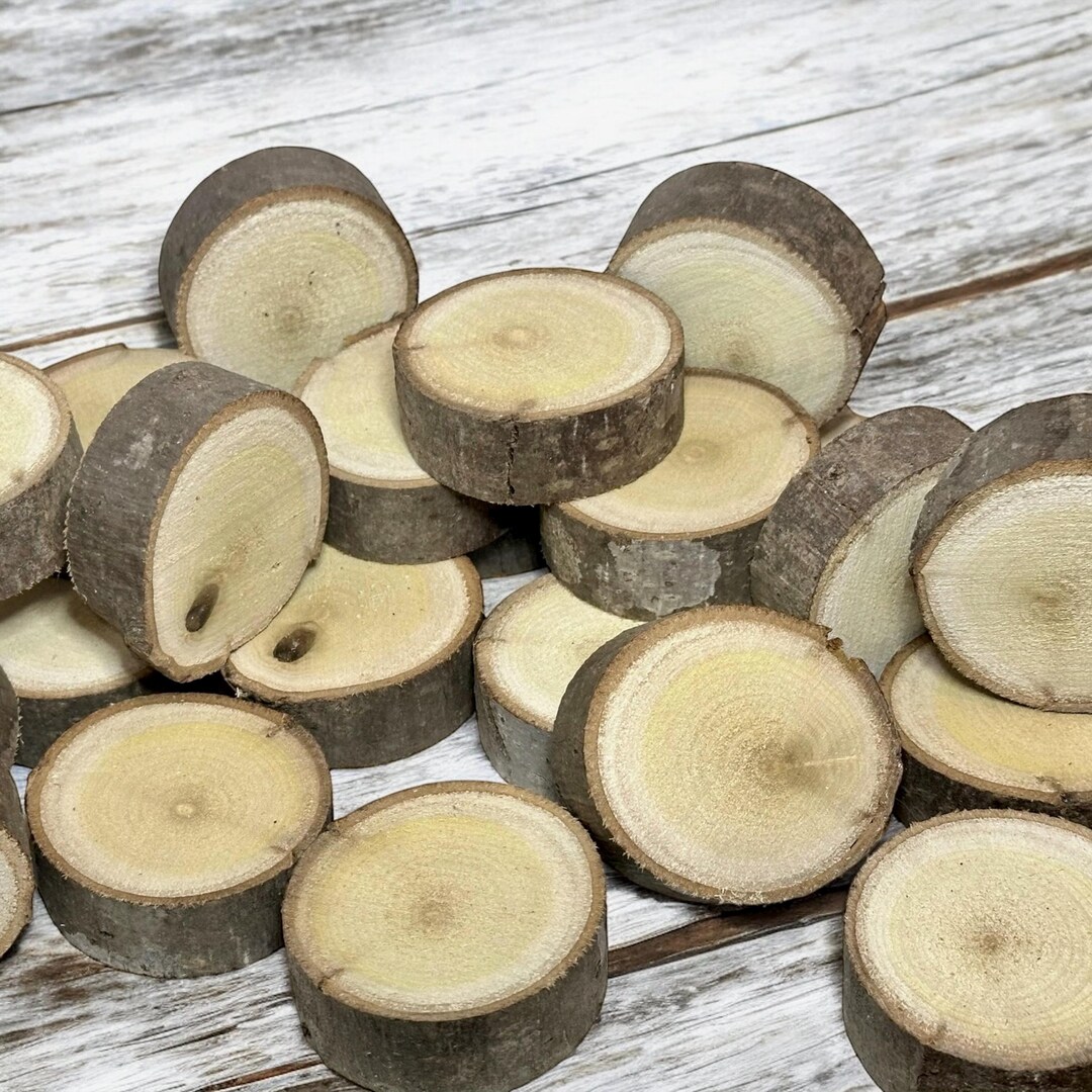 Unfinished Poplar Wood Rounds Craft Rustic Wedding - Etsy
