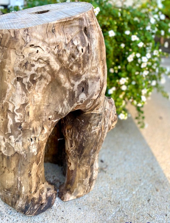 Hollow Maple Tree Stump. Log Side Table Garden Decor - Etsy