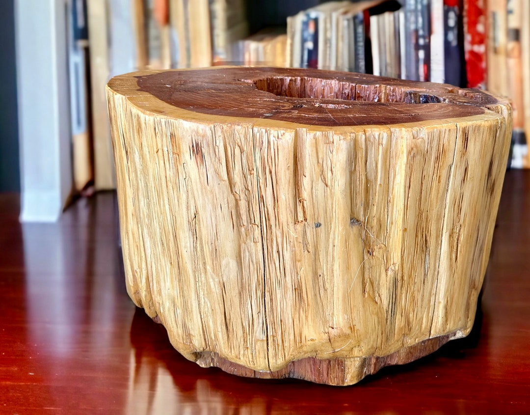 Cedar Log Stump Table Base | Large Hollow Tree Trunk Round - Etsy