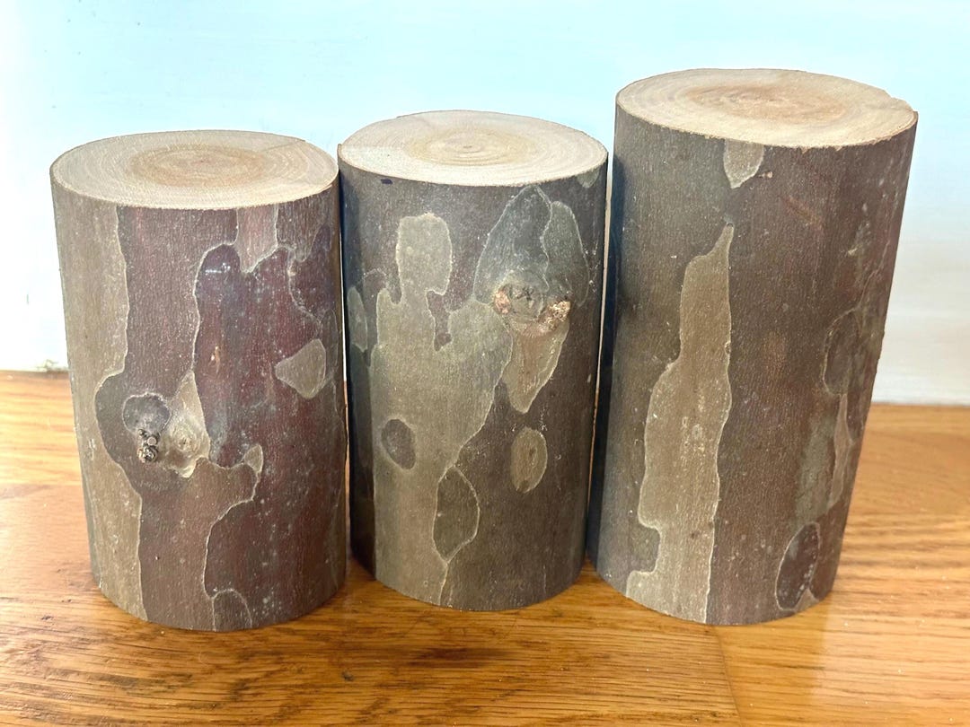Mini Logs 3 Piece Set Sycamore Logs - Etsy