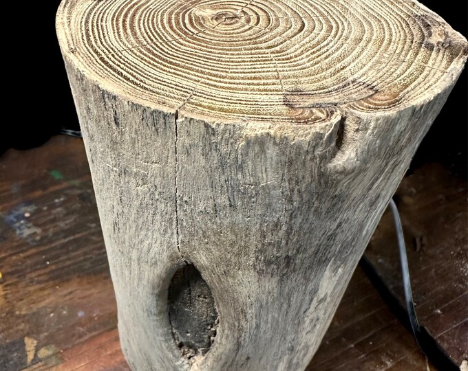 Natural Tree Stump. Black Locust Log - Etsy