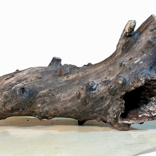 Resin Log Aquarium - Etsy