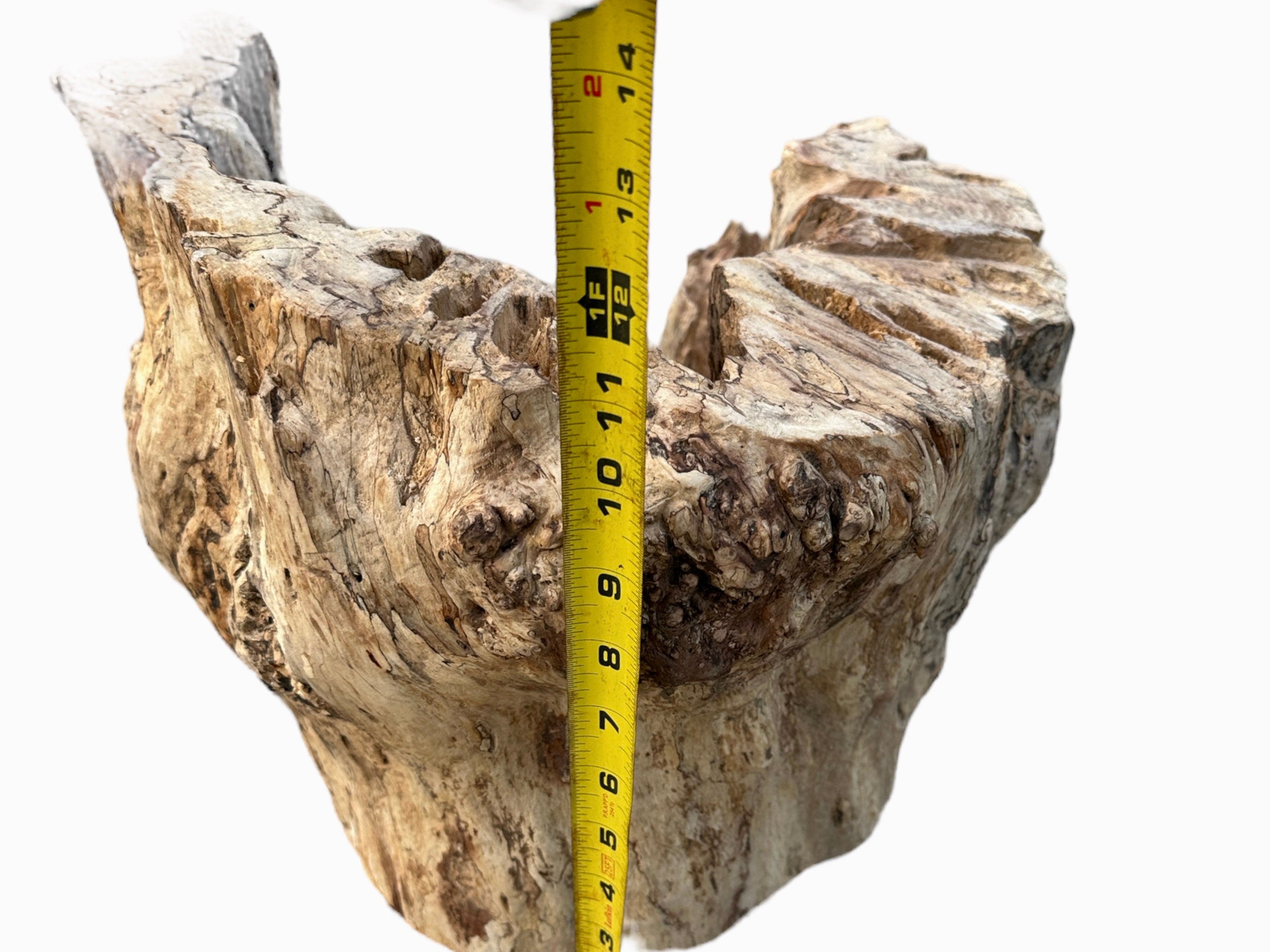 Unique Half Log Reptile Hide Cave - Etsy