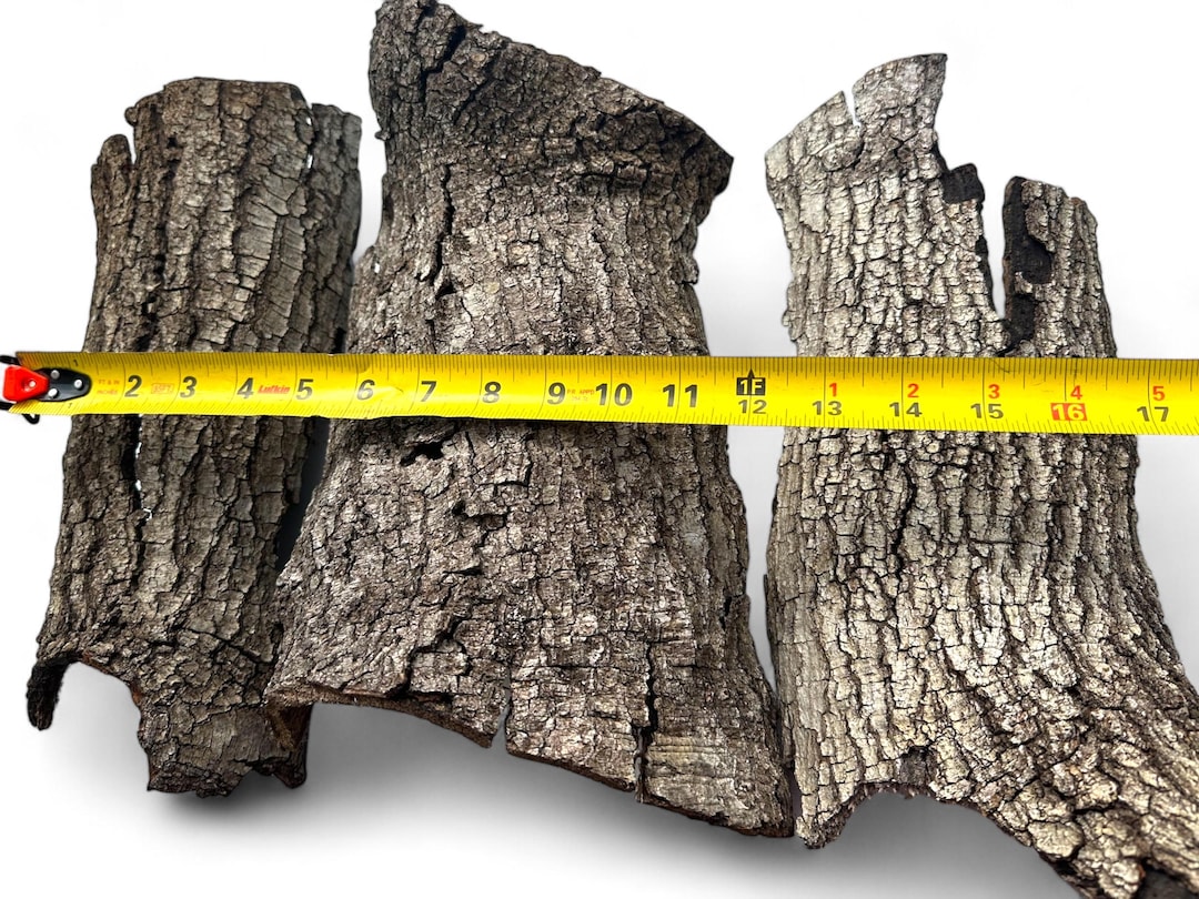 Oak Tree Bark Sheets for Crafts and Terrariums - Etsy