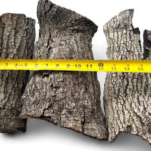 Oak Tree Bark Sheets for Crafts and Terrariums - Etsy