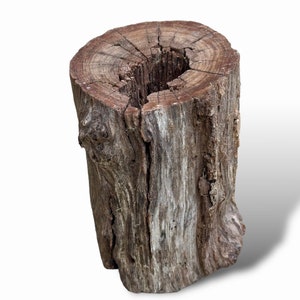 Hollow Log Redbud Wood - Etsy