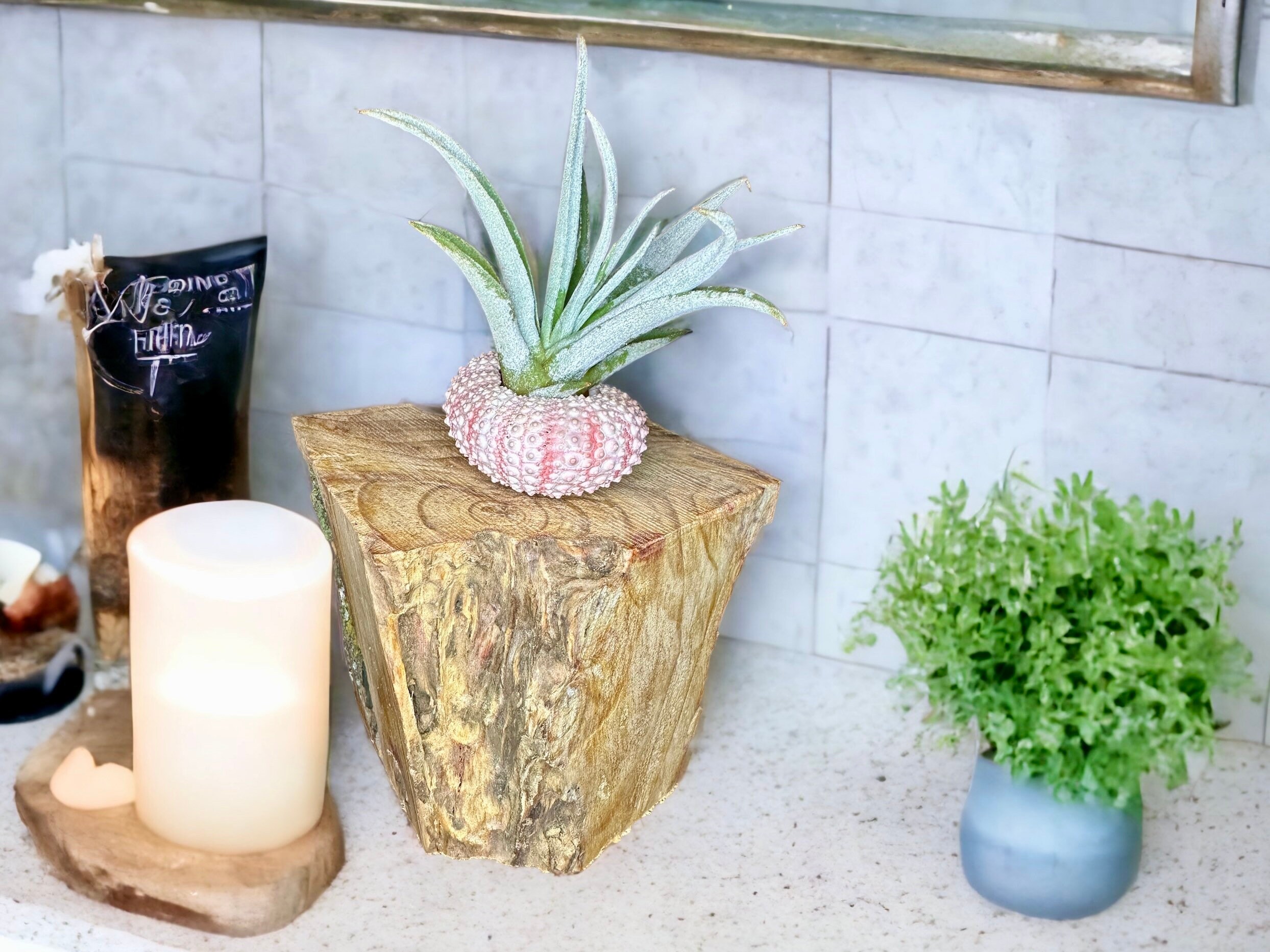 Pine Wood Plant Stand Display Wood Riser Rustic Block - Etsy