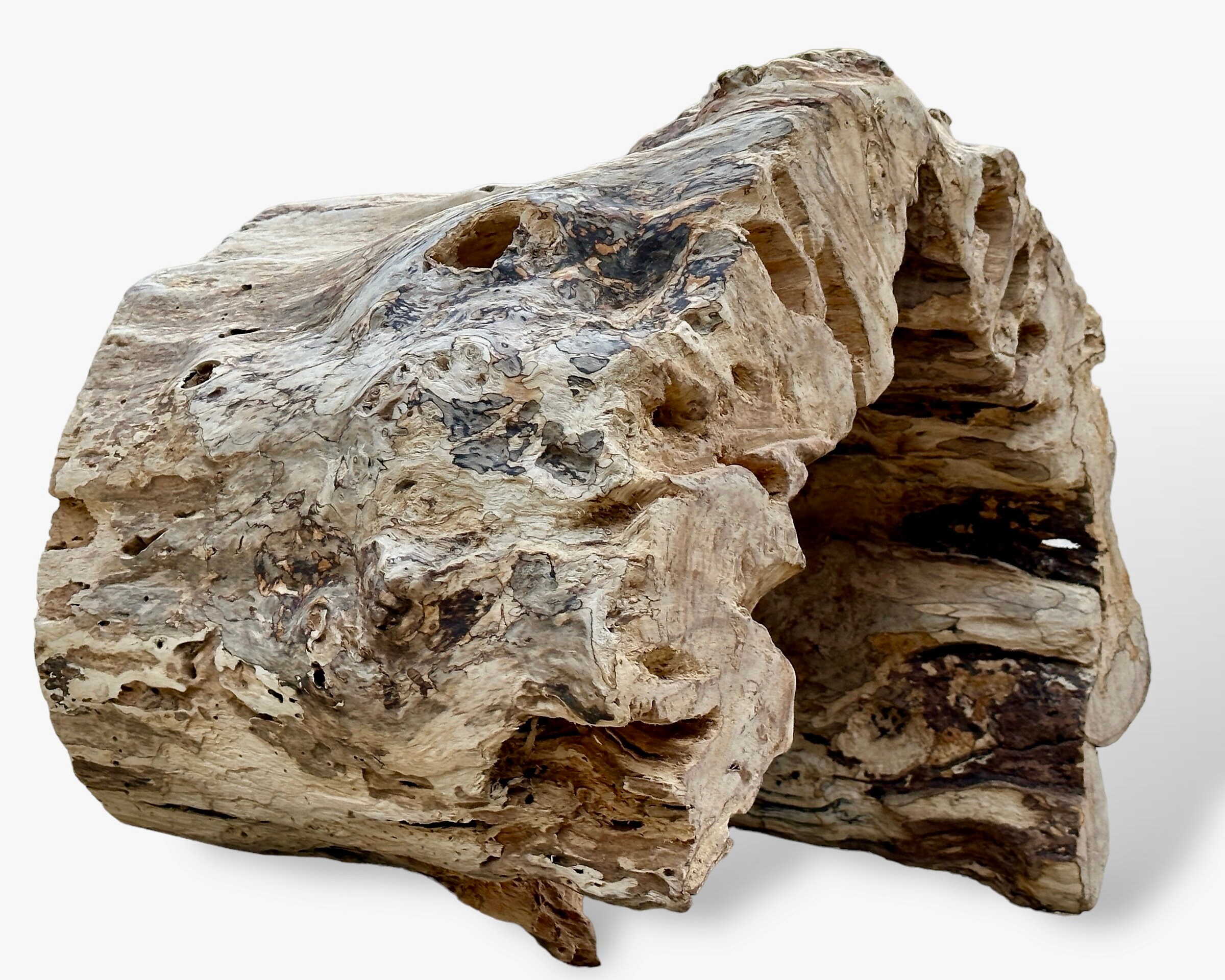 Unique Half Log Reptile Hide Cave - Etsy