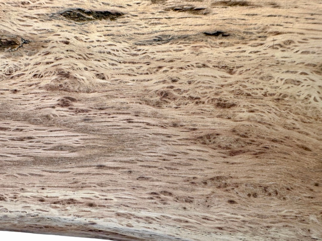 White Oak Burl Wood With Spaghetti Oak Figure. Knife Scales. Fine ...