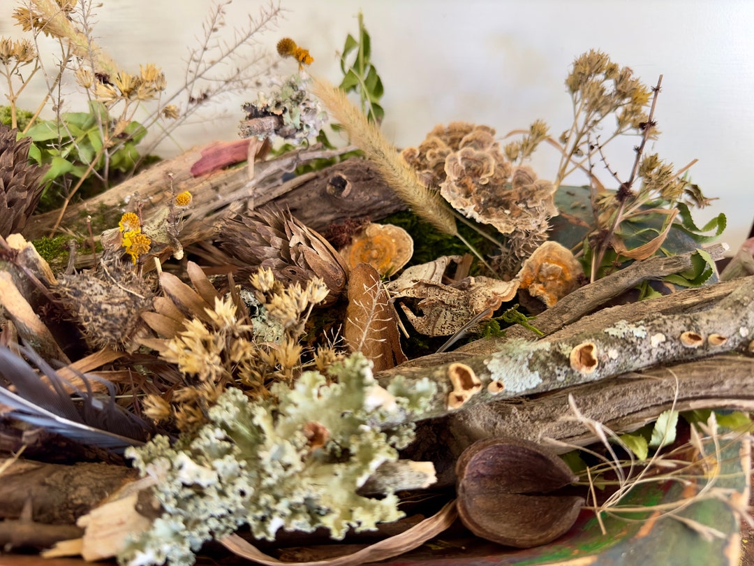 Forest Finds Craft Mystery Box Foraged Curated Collection Assortment - Etsy