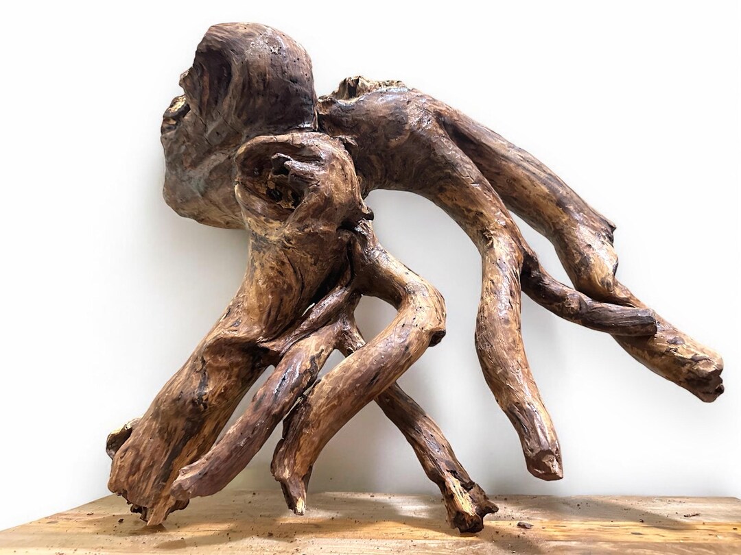 Handmade Tree Root Wooden Sculpture Running Roots - Etsy