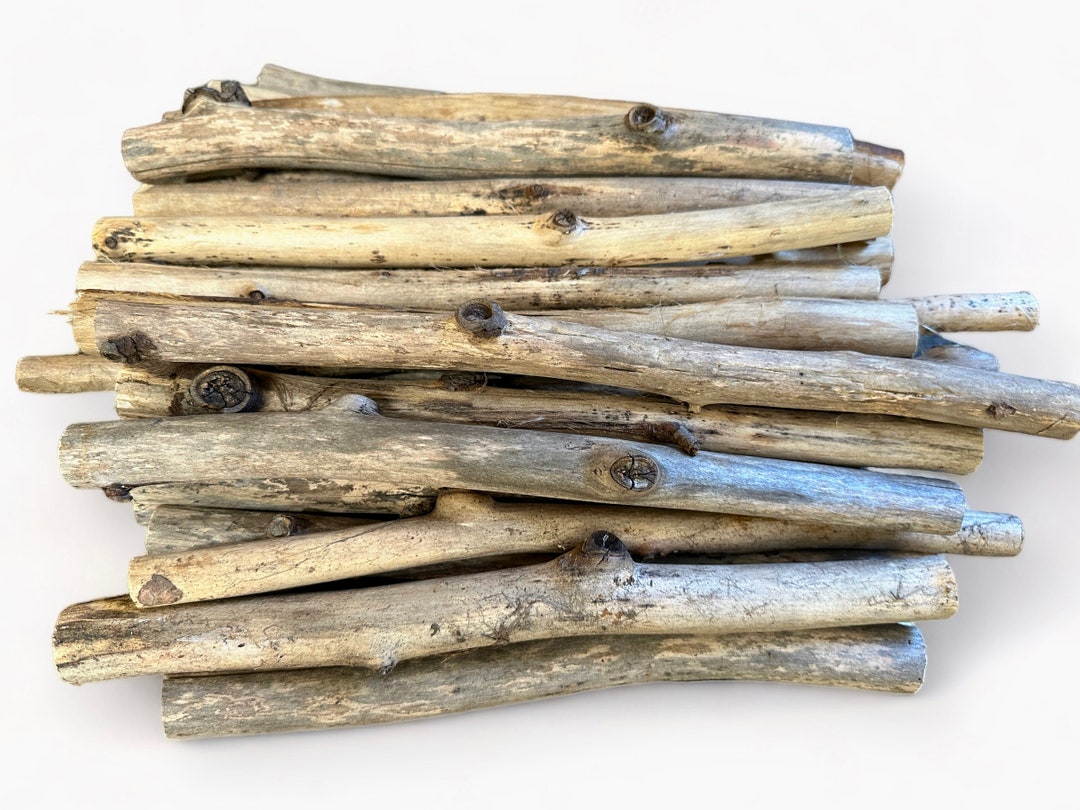 Poplar Sticks 15 Piece Bundle - Etsy