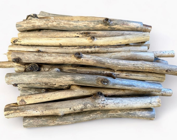 Poplar Wood Sticks. 15 Piece Tree Branches - Etsy