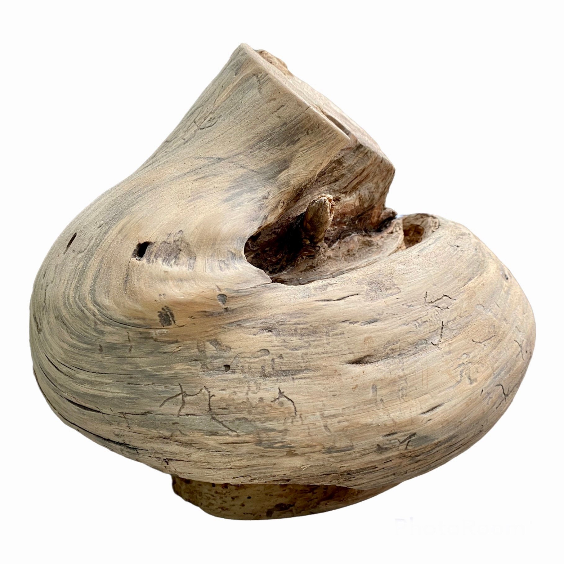 Twisted Tree Knot Burl Sphere Art Piece - Etsy