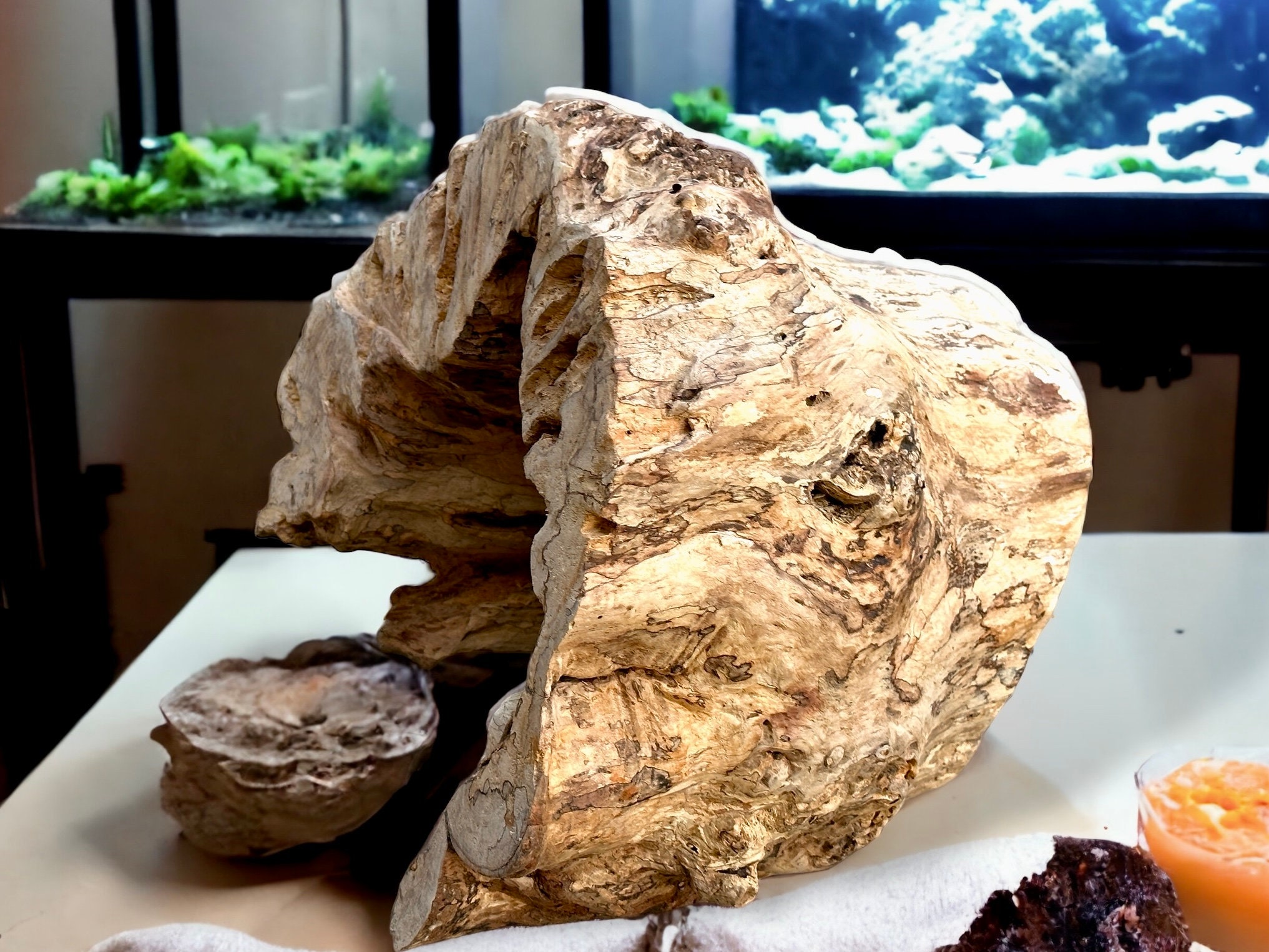 Unique Half Log Reptile Hide Cave - Etsy