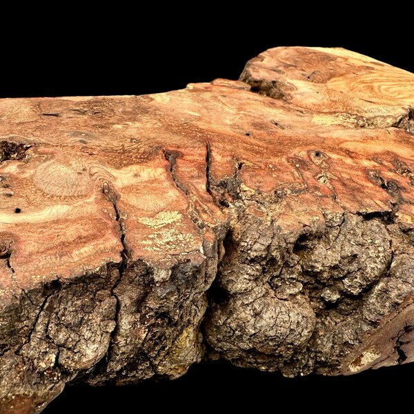 Burl Slab - Etsy