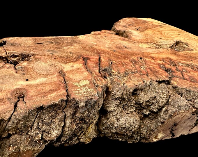 Oak Burl Wood Slab - Etsy