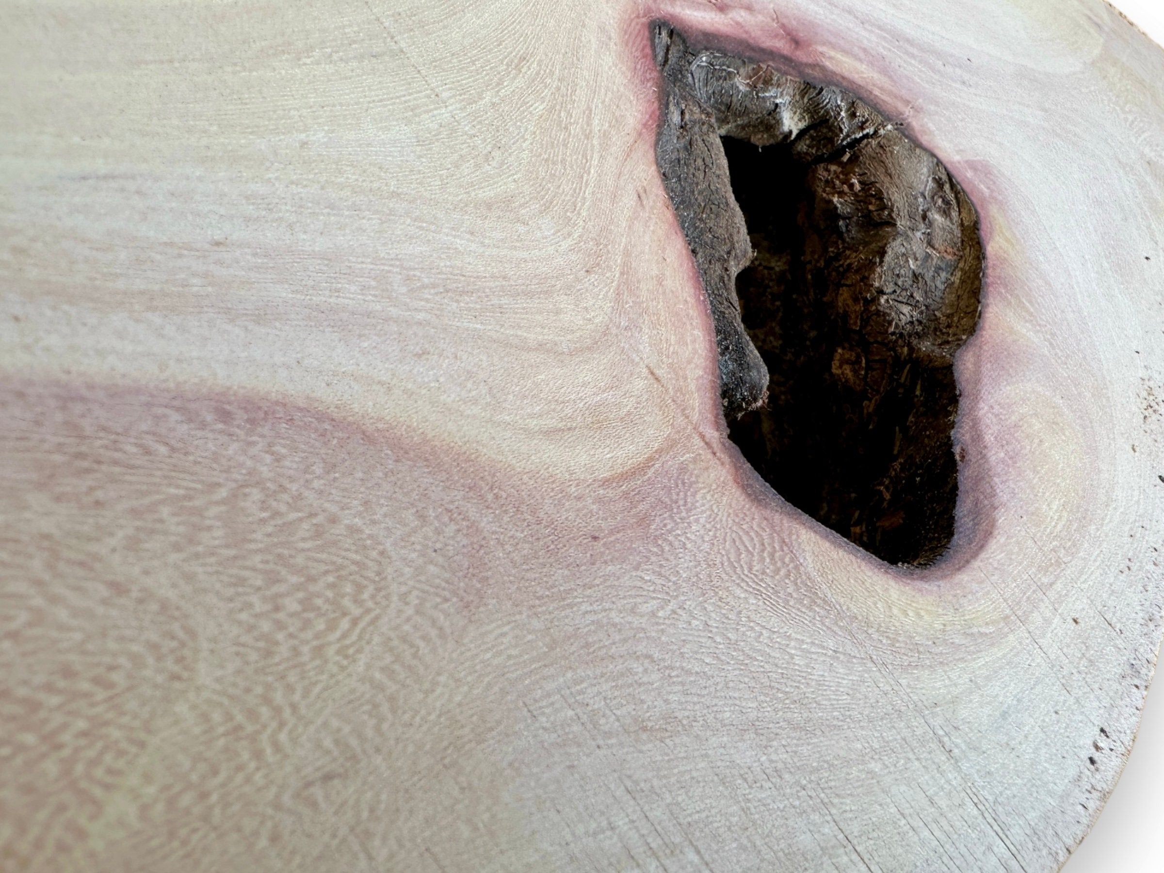 Live Edge Elm Slab With Knothole - Etsy