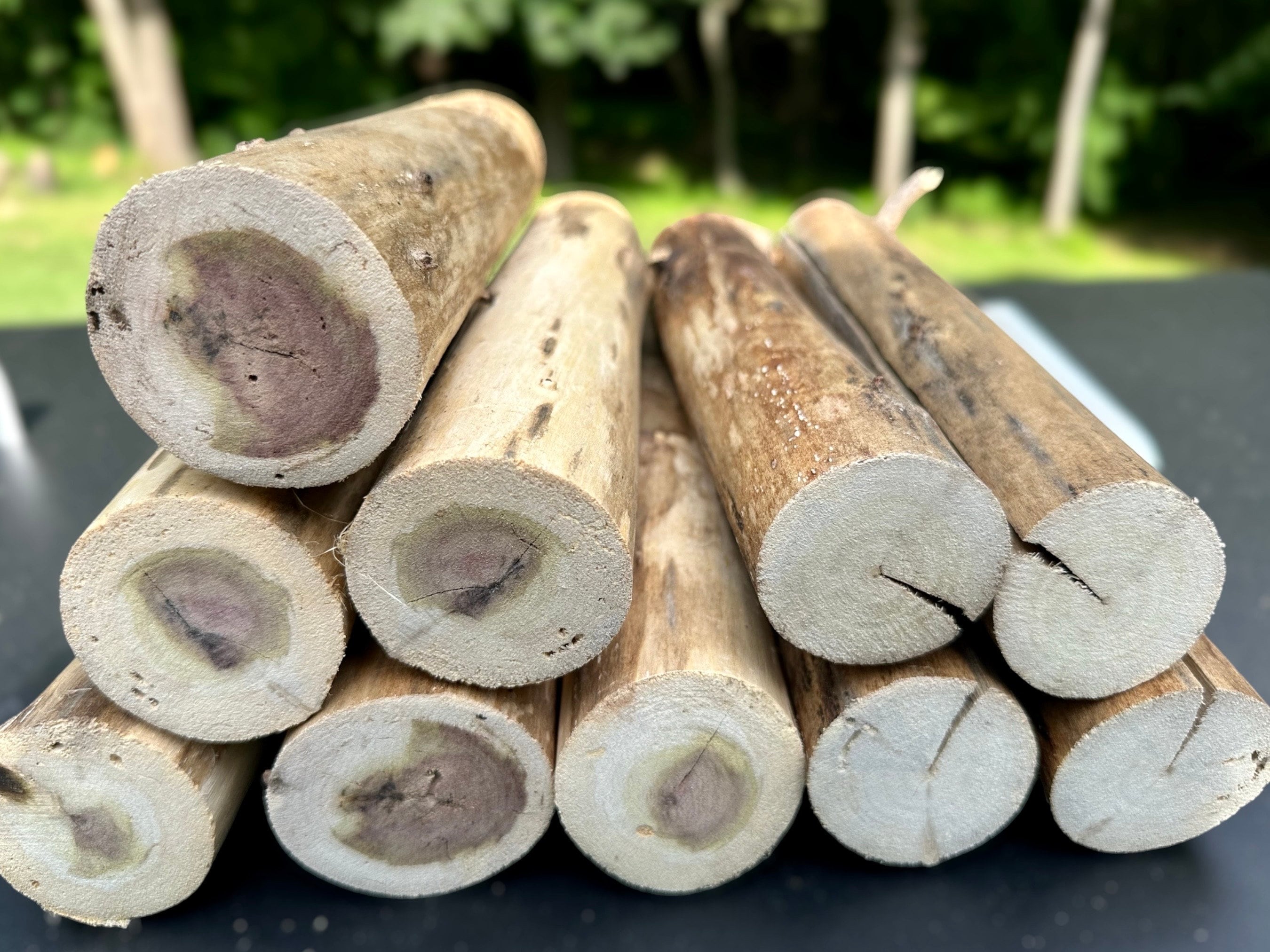 Tulip Poplar Craft Logs: Woodworking Branch Pieces (11”x 2”) - Etsy