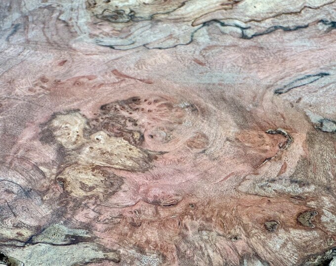 Birdseye Spalted Maple Burl - Etsy