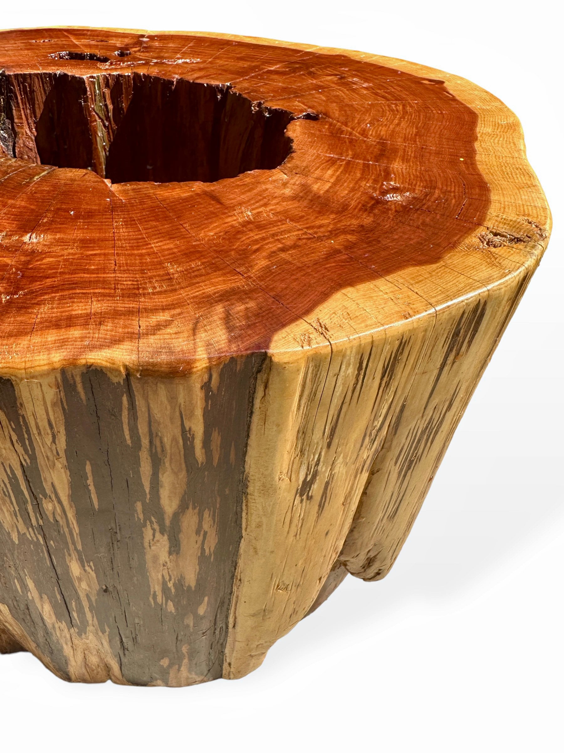 Cedar Log Stump Table Base | Large Hollow Tree Trunk Round - Etsy