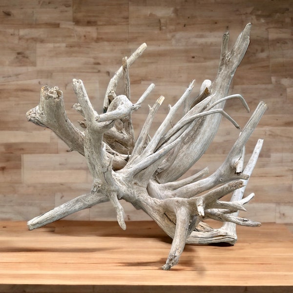 Root Table - Etsy
