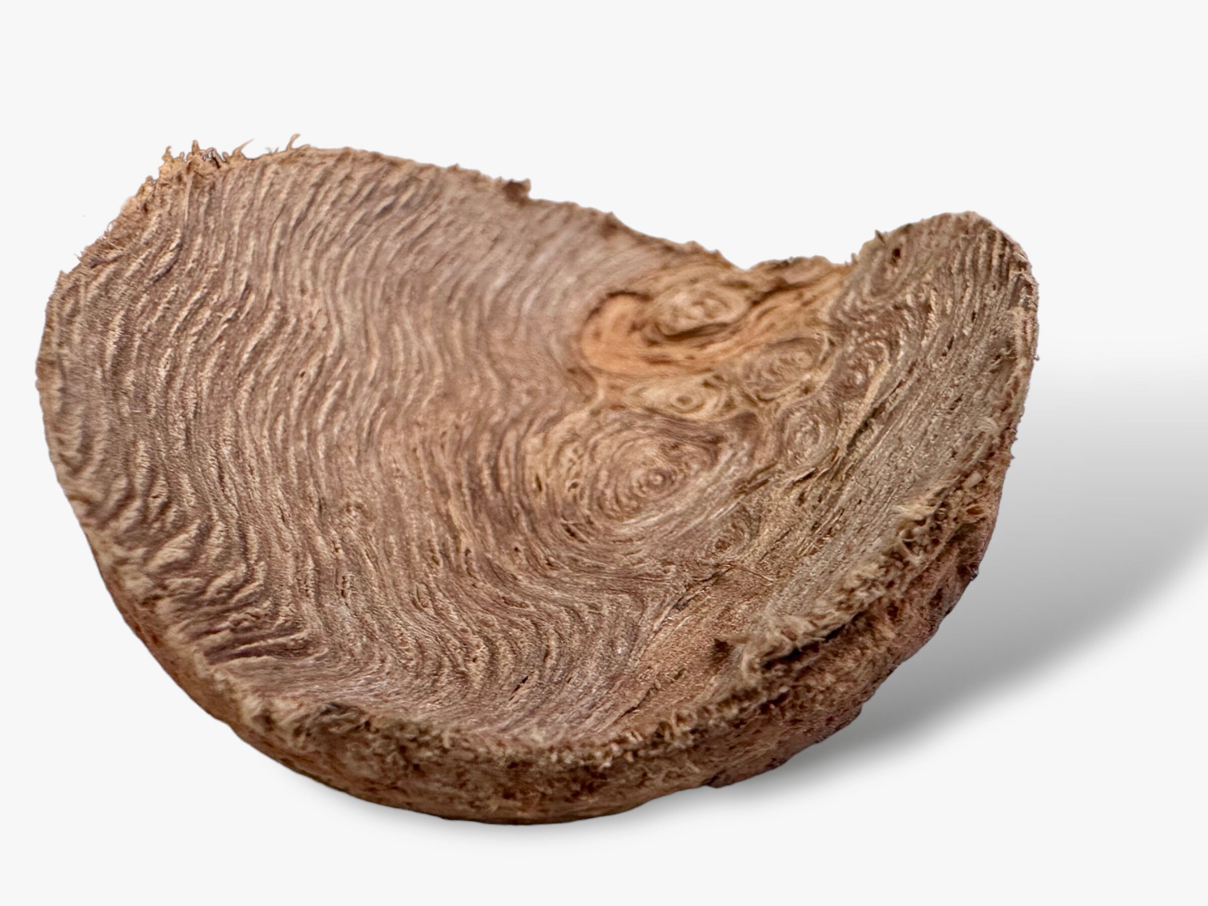 Spaghetti Oak Concave Wood Pendant for Jewelry Epoxy Resin Casting - Etsy